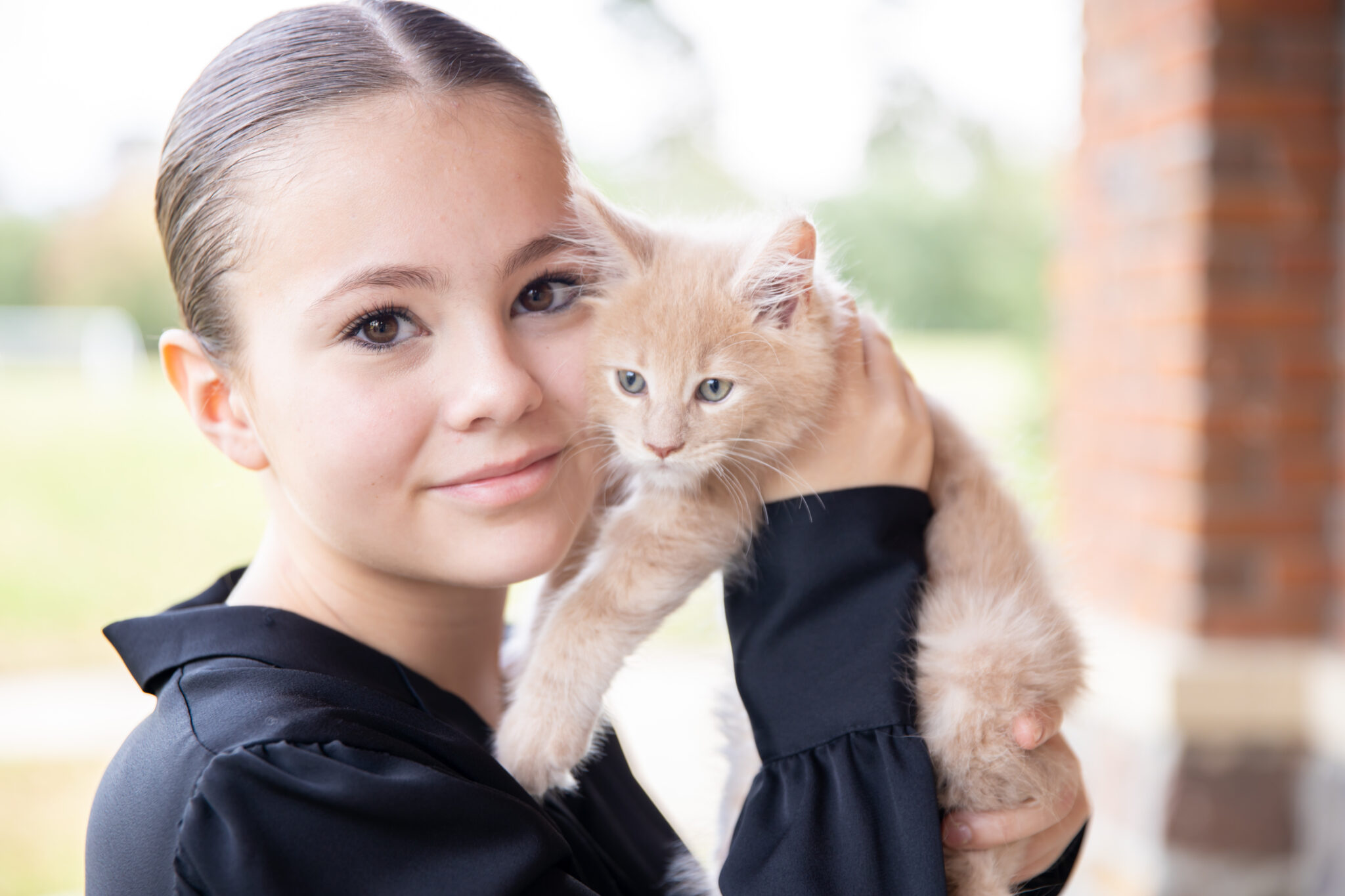 Champion Bloodline Maine Coon Kittens for Sale